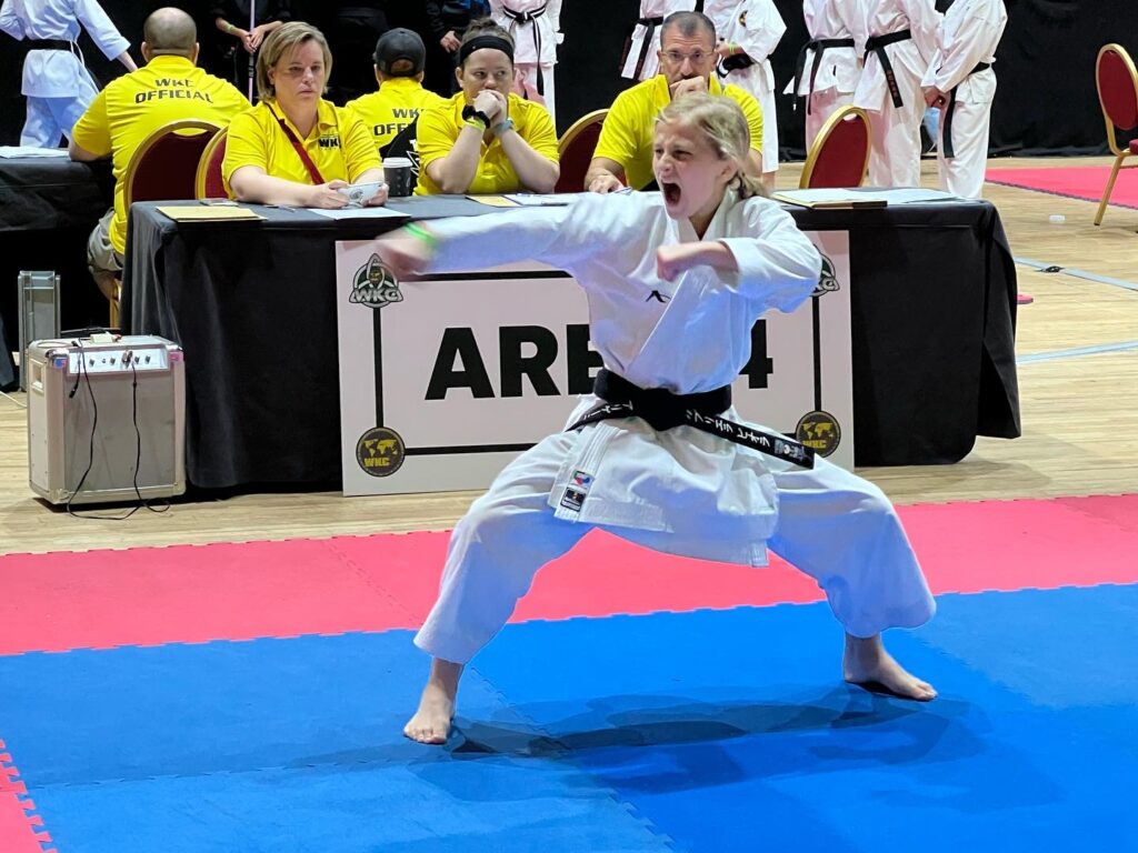 HomePage Archives - Viola Karate Dojo